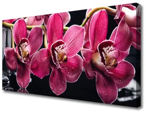 Obraz na plátně Květiny Orchideje  Výhonky Příroda 140x70 cm