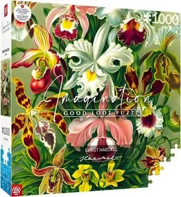 GOOD LOOT Puzzle Imagination: Ernst Haeckel - Orchidej / 1000 dílků /