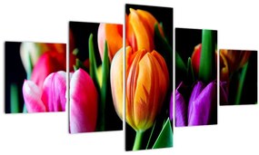 Obraz tulipánů na černém pozadí (125x70 cm)