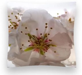 Dekorační foto polštářek Květy třešně, 45x45cm, CN3606