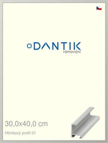 DANTIK rámeček 30x40 | ALU profil 6001 Stříbrná matná (Plexi Čiré)