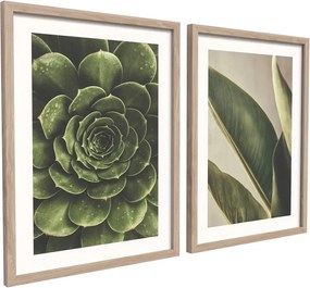 Tištěné obrazy v sadě 2 ks s rámem 30x40 cm Beauty Green – Styler