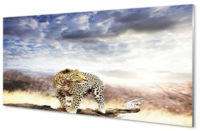 akrylový obraz panter mraky 100x50 cm