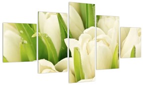 Obraz květů tulipánů (125x70 cm)