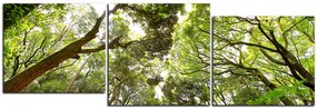 Obraz na plátně - Zelené stromy v lese - panoráma 5194D (120x40 cm)