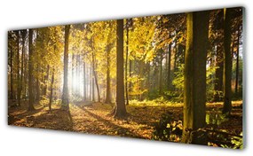 akrylový obraz Les Listy Rostlina Příroda 125x50 cm