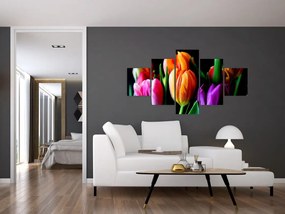 Obraz tulipánů na černém pozadí (125x70 cm)