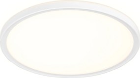 Livarno® LED stropní svítidlo (bílá)