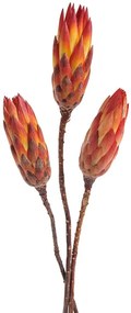 protea repens bud (6 ks), červená malá