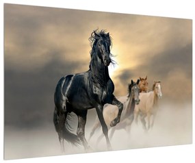 Obraz koně (90x60 cm)