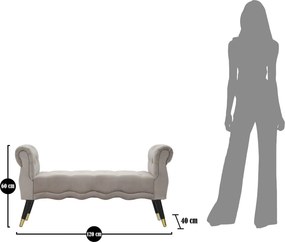 Lavice Paris 120 cm samet šedá/zlatá