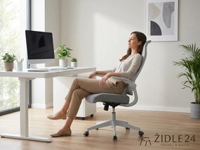 Ergonomická kancelářská židle DOMINIQUE - světle šedá síťovina