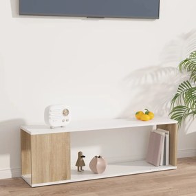 vidaXL TV skříňka 100 x 24 x 32 cm kompozitní dřevo [809167] Barva: bílá s vysokým leskem