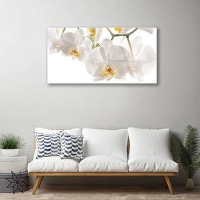 Plexisklo-obraz Orchidej Květiny Příroda 100x50 cm