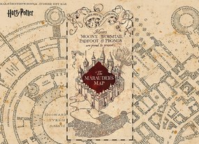 Dětská vliesová fototapeta na zed' Harry Potter a Pobertův Plánek | 252 x 182 cm | DFTDXL1977