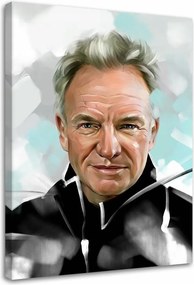 Obraz na plátně, Sting 40x60