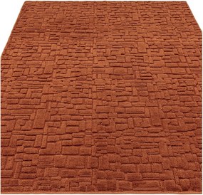Koberec v terakotové barvě 200x290 cm – Asiatic Carpets
