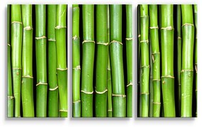 Sablio Obraz - 3-dílný Bambus - 120x80 cm