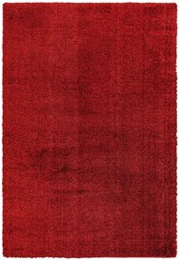 Červený koberec Trebbia Red Rozměry: 80x150 cm