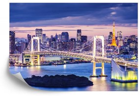 Fototapeta Rainbow Bridge In Tokio Strukturální vinyl 180x120