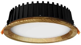 APLED - LED Podhledové RONDO WOODLINE LED/6W/230V 4000K pr. 15 cm jasan masiv