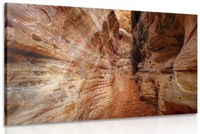 Obraz cestička Grand Canyonem Varianta: 120x80