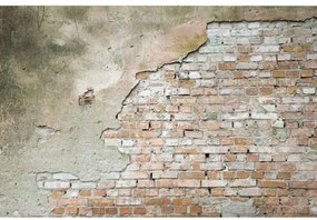 DIMEX | Vliesové fototapety na zeď Oprýskaná zeď MS-5-0168 | 375 x 250 cm| béžová, růžová