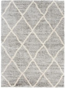 Kusový koberec shaggy Mirza šedý 160x229cm