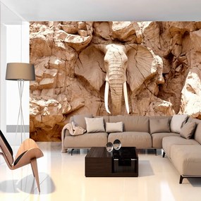 Fototapeta - Stone Elephant (South Africa)