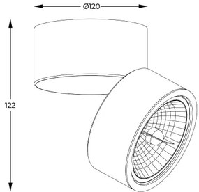 Zuma Line 20001-BK-N - Bodové svítidlo LOMO 1xGU10-ES111/15W/230V černá