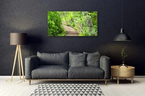 Obraz na skle Schody Příroda 140x70 cm