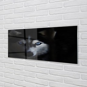 akrylový obraz wolf Eyes 120x60 cm