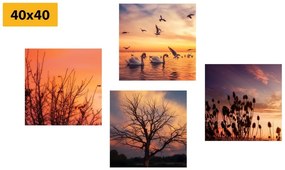 Set obrazů okouzlující příroda - 4x 40x40 cm