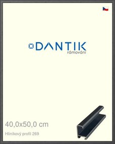 DANTIK rámeček 40x50 | ALU profil 7269 Šedá Oplal broušená (Sklo Čiré)