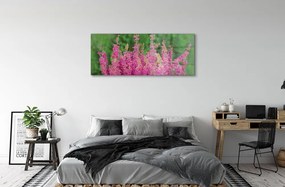 akrylový obraz květiny vřesy 120x60 cm