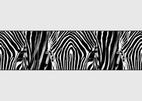 Samolepící bordura na zeď Zebra | 5 m x 13.8 cm | DWB8205