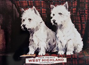 Plechová cedule  Pejsci West Highland White menší