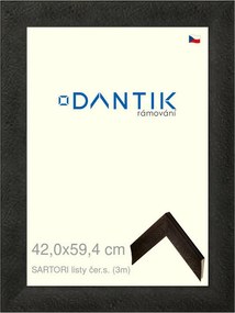 DANTIK rámeček 42x59,4 | SARTORI listy čer.s. (Plexi Čiré)