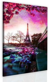Obraz kouzelná Paříž