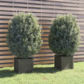 Zahradní truhlíky 2 ks šedé 40 x 40 x 40 cm masivní borovice,  810539