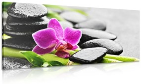 Obraz wellness zátiší s fialovou orchidejí - 120x60 cm