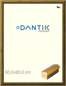 DANTIK rámeček 60x80 | Forgia Gold (Plexi Čiré)