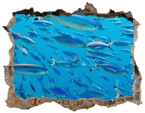 Wallmuralia Díra 3D fototapeta nálepka Korálové ryby 95x64 cm