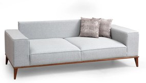 Atelier del Sofa 3-místná pohovka Montana 3 Seater, Šedá