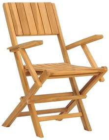 Skládací zahradní židle 2 ks 55x61x90 cm masivní teakové dřevo,  362760