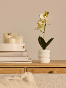 Sinsay - Dekorativní rostlina v květináči – orchidej - bílá