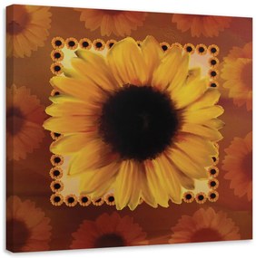 Obraz na plátně Příroda slunečnic - 60x60 cm