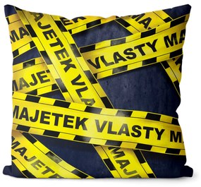 Polštář Majetek + jméno – ženská jména (Velikost: 55 x 55 cm, Jméno: Vlasta)