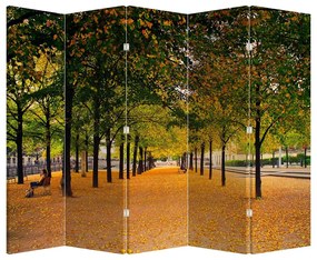 Paraván - Alej podzimních stromů (210x170 cm)