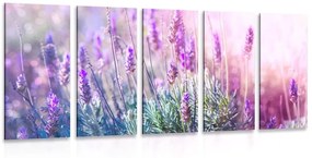 5-dílný obraz kouzelné květy levandule - 200x100 cm